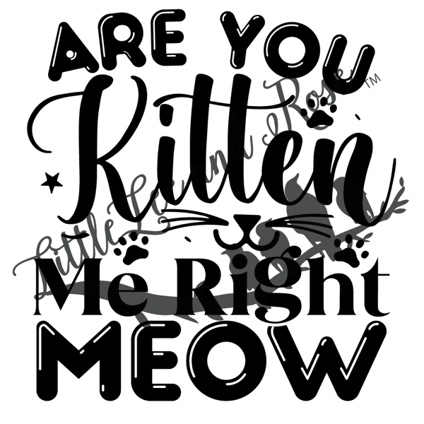 Are You Kitten Me? UV-DTF – LittleLee and Rose